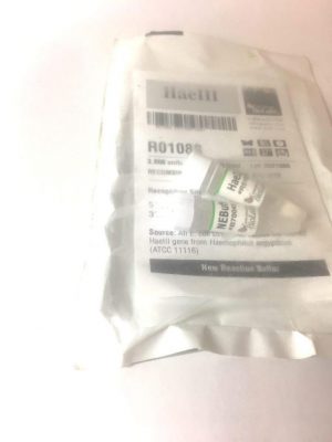 M13KO7 Helper Phage | آریاژن